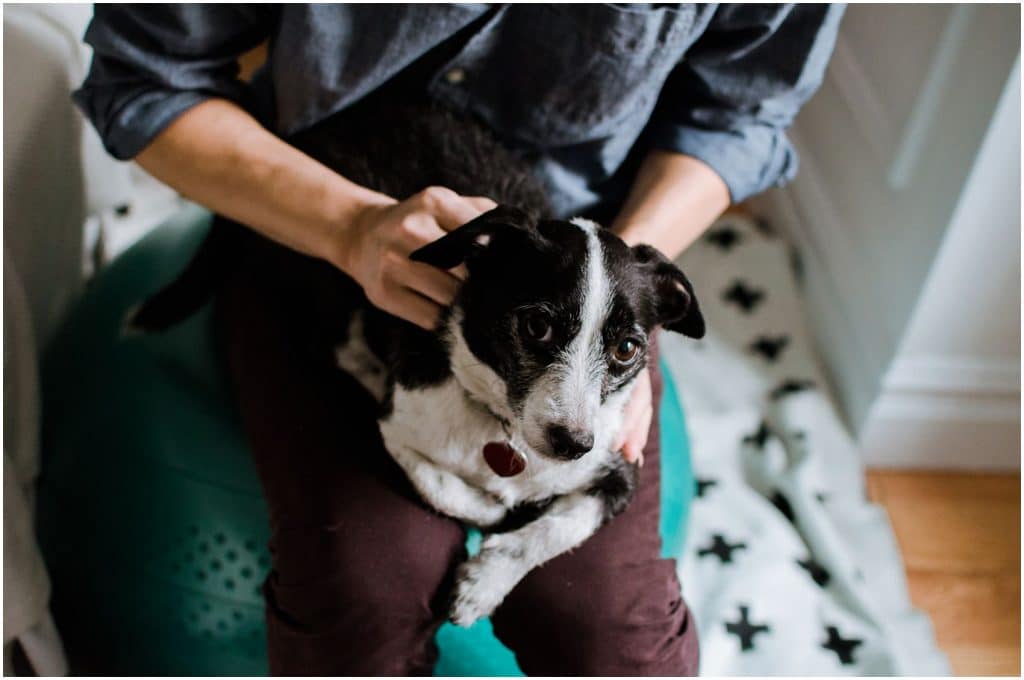 Family Photographer NYC | Miriam Dubinsky Photography